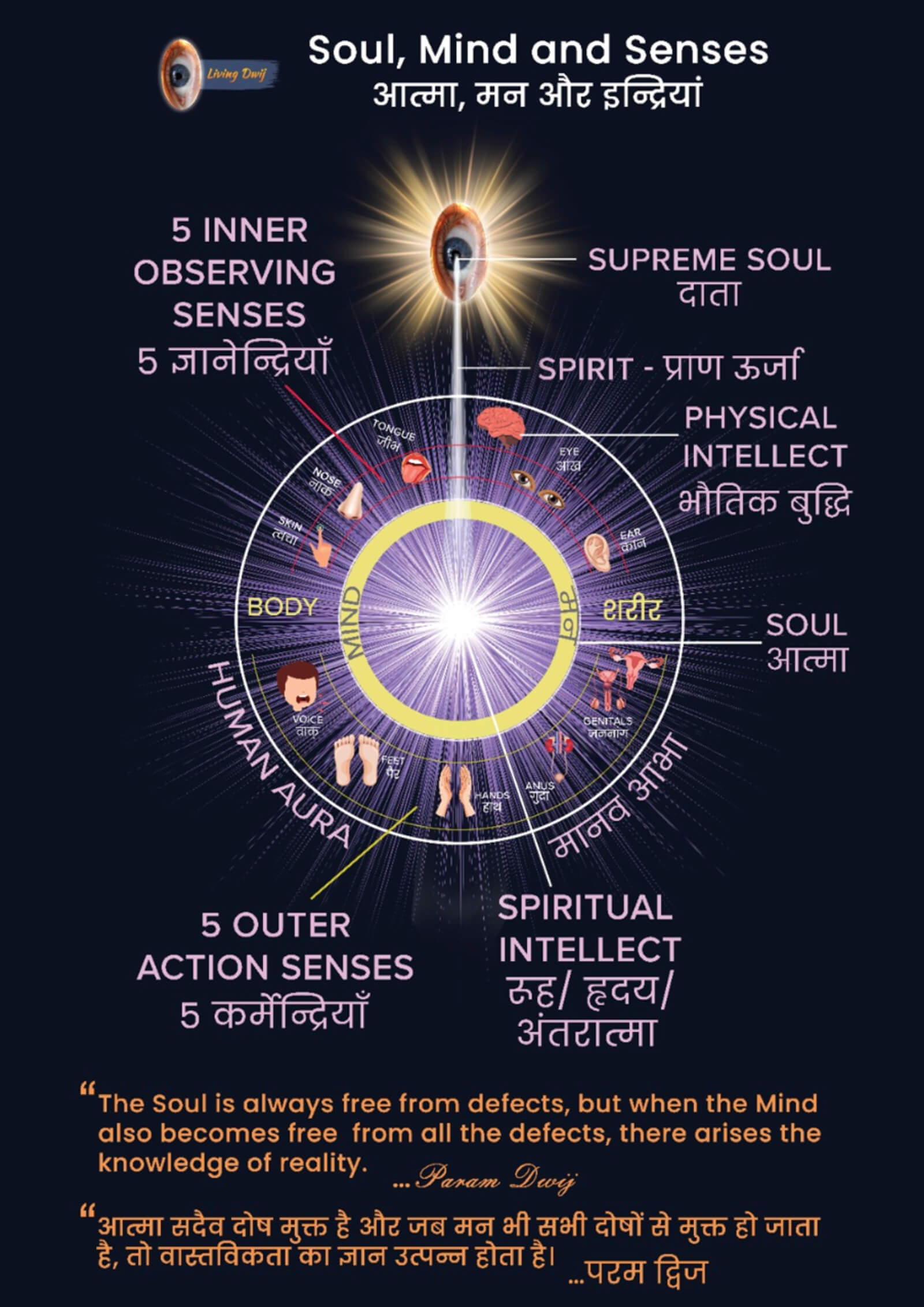 The Supreme Alignment: Soul, Mind, and Senses - Living Dwij